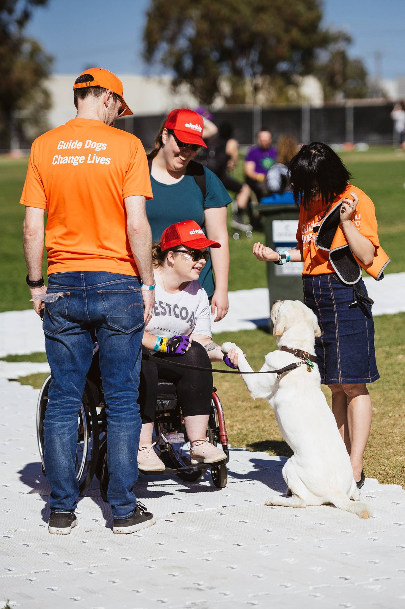 Is Ability Fest the most accessible music festival in Australia ...